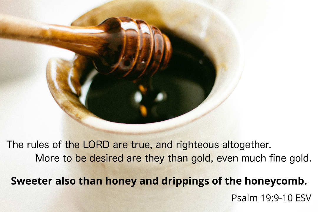 Sermon Psalm 19 KiaraKeiara